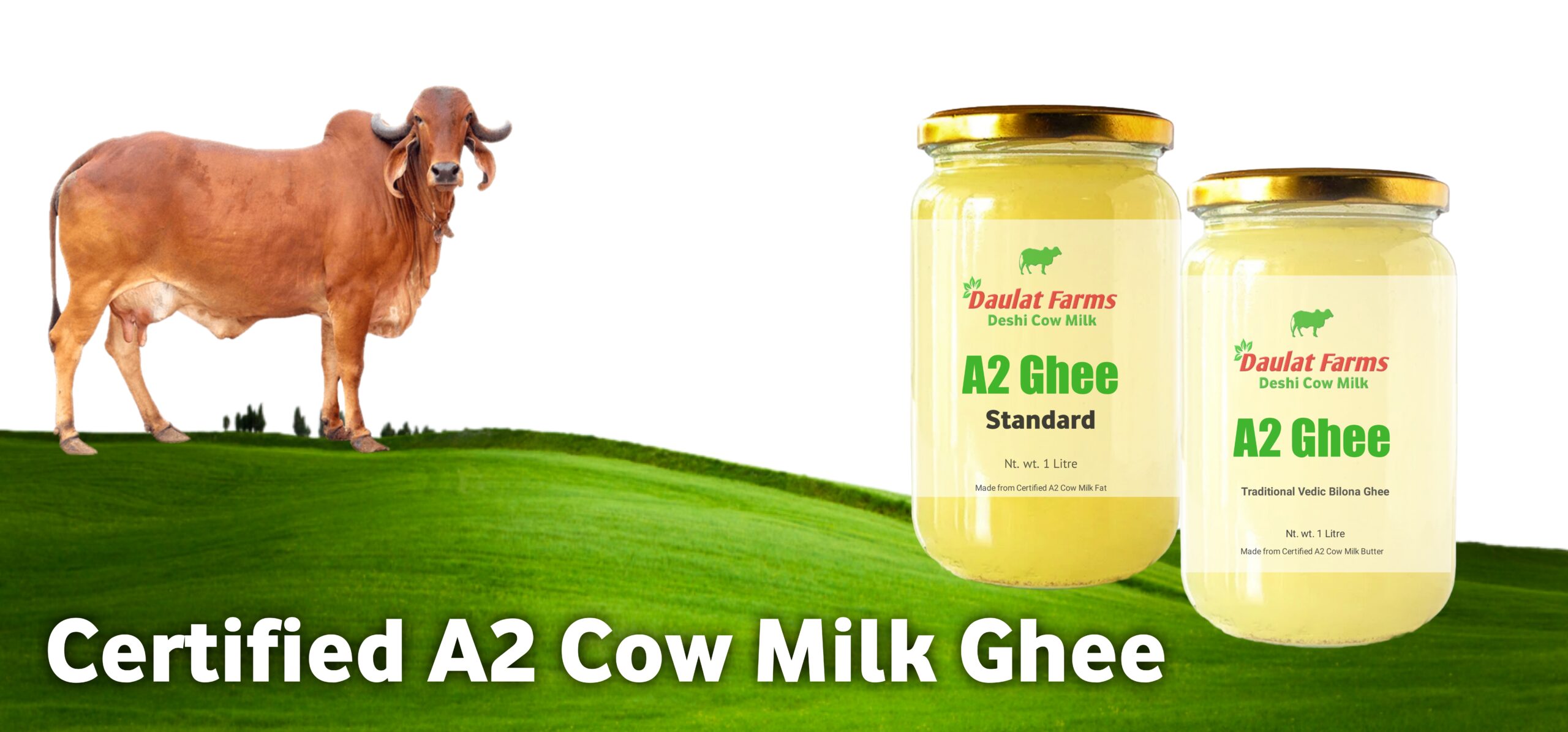 A2 Milk Home Delivery in Mumbai, Pune, Delhi NCR, Gurgaon - Daulat ...